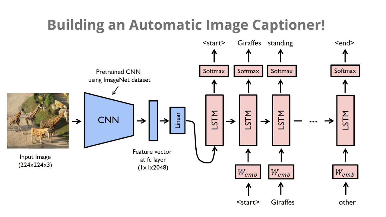 Building an Automatic Image Captioner!