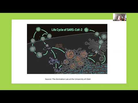 Infectious Diseases: Imaging viral infections: Identifying new targets for antiviral treatments