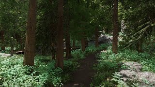 4K - Skyrim SE 2024 Ultra modded with PI-CHO ENB at Skyrim Special ...