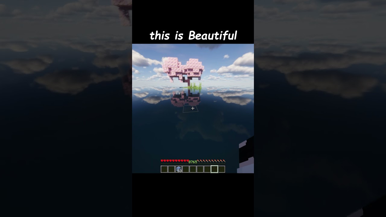 Minecraft Beautiful moment