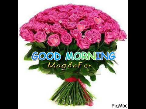 good morning gif