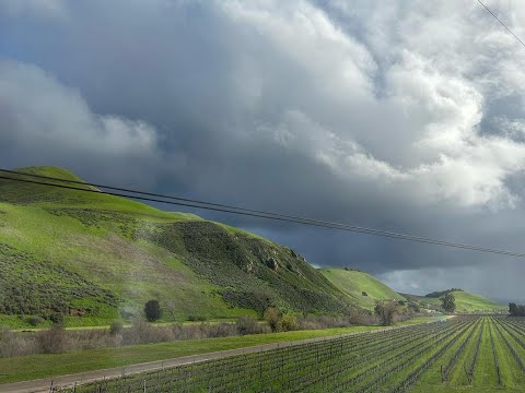 Rhone Rangers: Santa Barbara County Wines