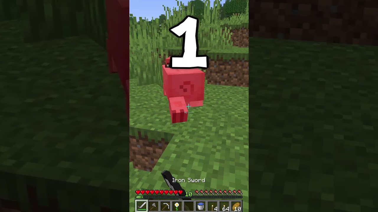 Spot the difference in this Minecraft World | Part 5