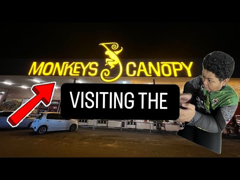 Visiting the Monkeys Canopy Resort!! (vlog)