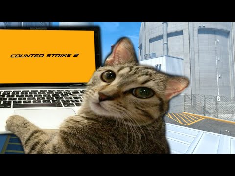 Steam Community :: Video :: "yo bro hop on cs2"