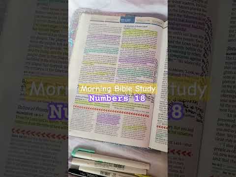 Numbers 18 Bible Study Notes (notes in comments)