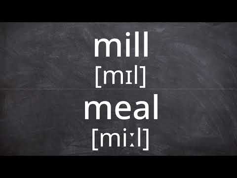 MILL vs MEAL Pronunciation in American English