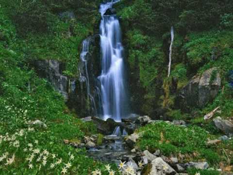 A Course In Miracles "Inner Guidance Support Tool" by Mana