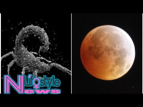 Daily Horoscope on October 24: YOUR star sign reading, astrology and zodiac forecast