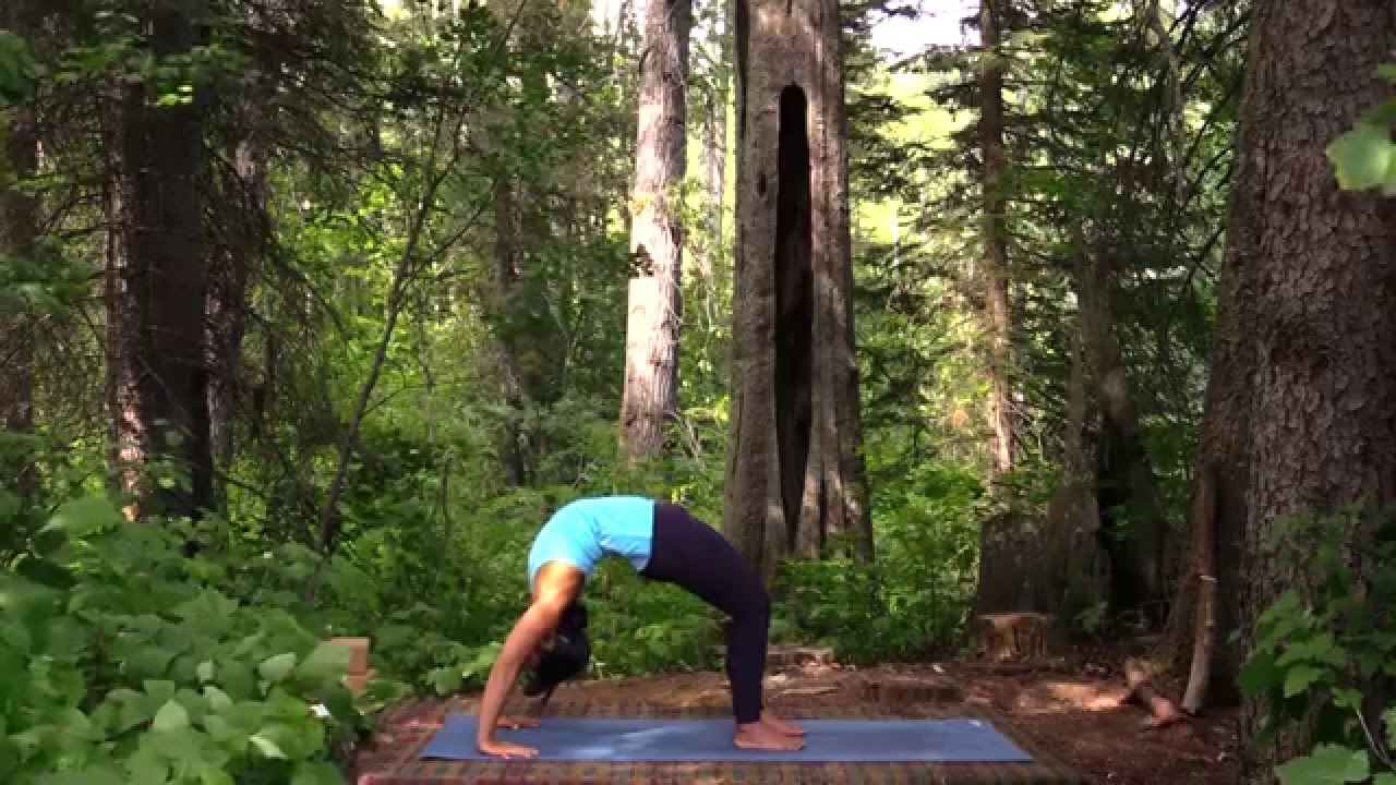 Alice Hong - Upward Facing Bow Tutorial