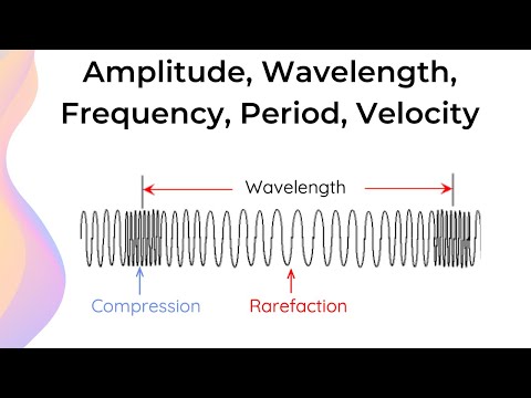 Properties of Longitudinal Waves // HSC Physics