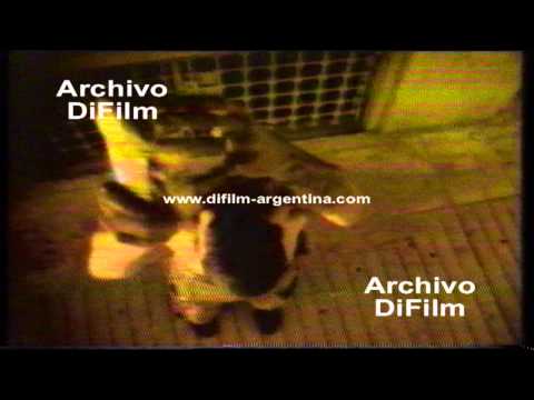 DiFilm - Publicidad Minicomponentes, Televisores y videograbadoras Philips en Musimundo (1996)