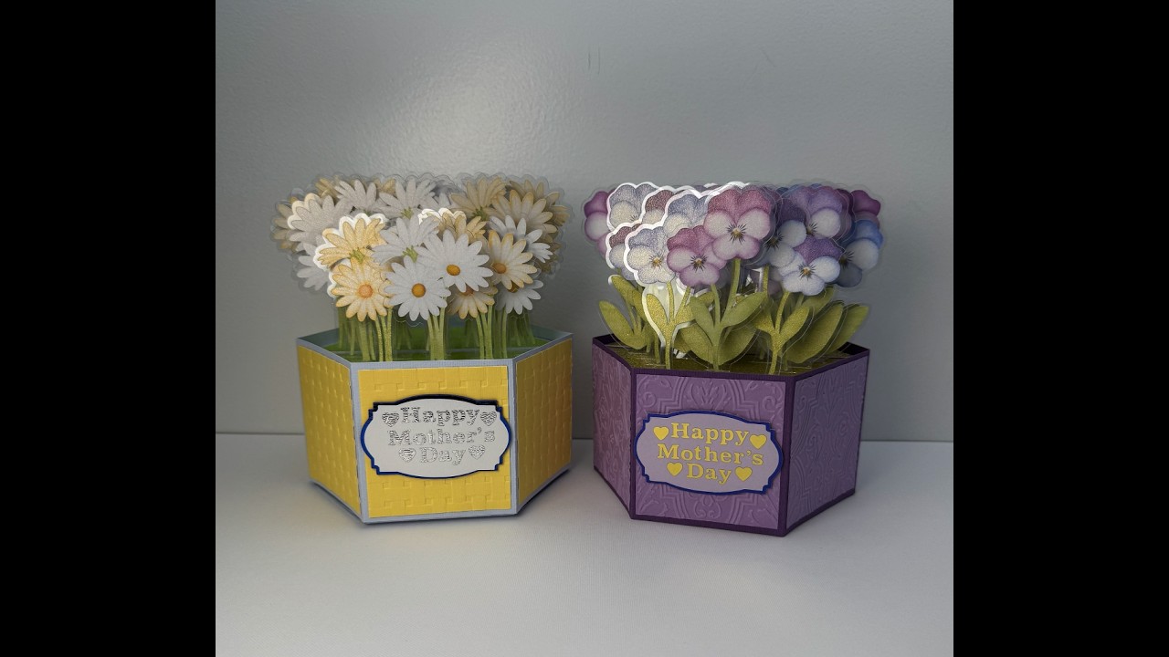 Daisies on Pop Up Base