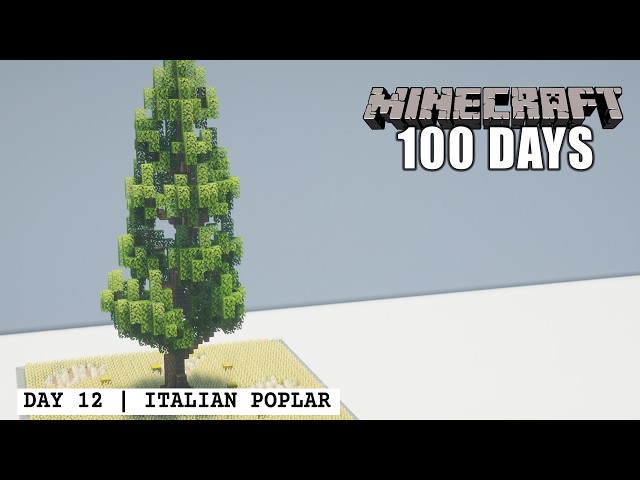 Italian poplar - Populus nigra 'Italica' Minecraft Map