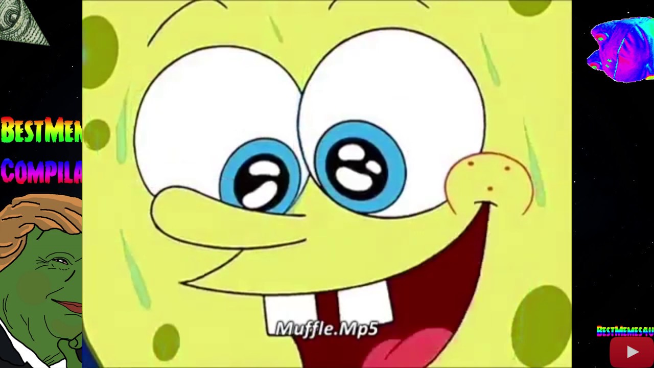 DANK MEMES ON DECK COMPILATION V10