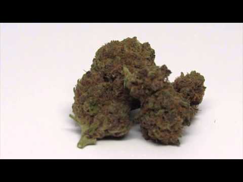 Purple Urkle Indica medical marijuana review - 420 Delivery Club