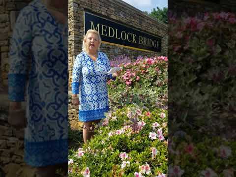 Johns Creek Communities - Medlock Bridge - Dagmar Sands with Real Estate Int'l - Market Analysis
