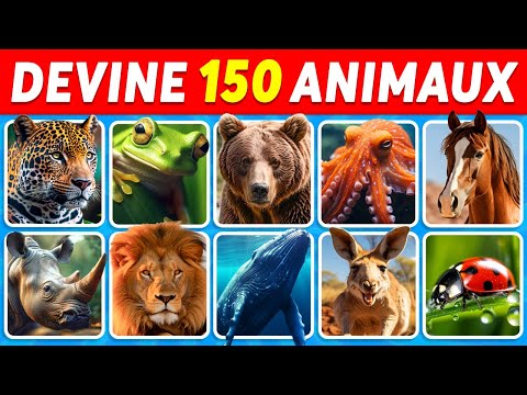 Devine 150 ANIMAUX en 3 secondes | Facile, Moyen, Difficile, Impossible