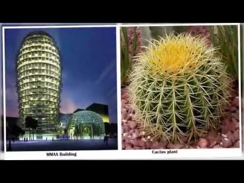 10 nature inspired architectural designs – ARCHIABYSSNIYA