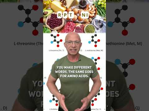 Protein = Amino Acids