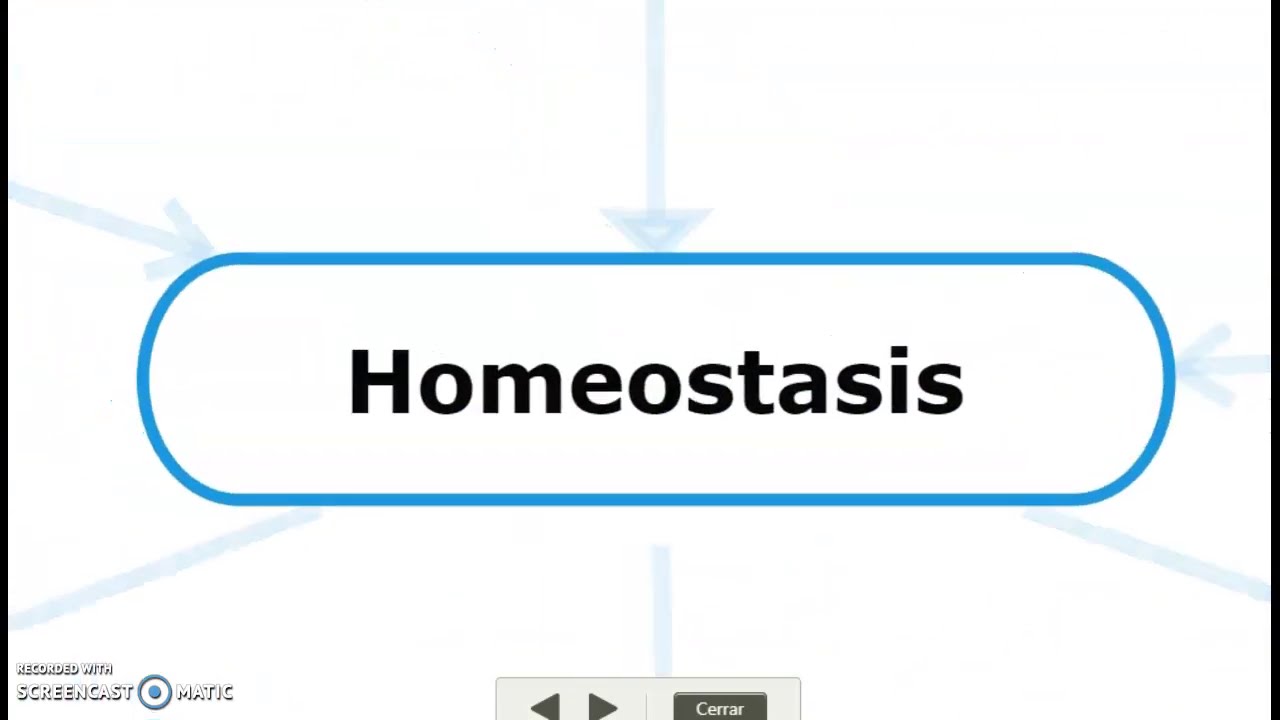 Generalidades de Fisiología Animal