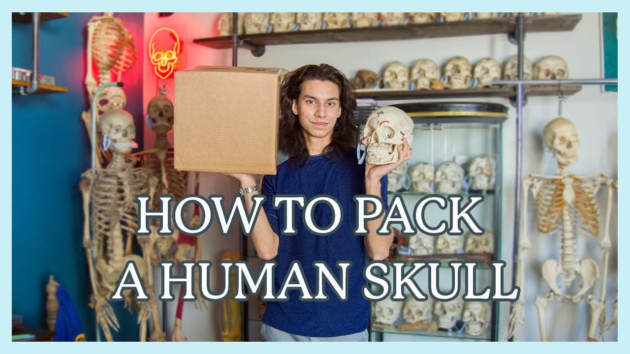 HOW TO: Packing a Real Human Skull! - Tutorial