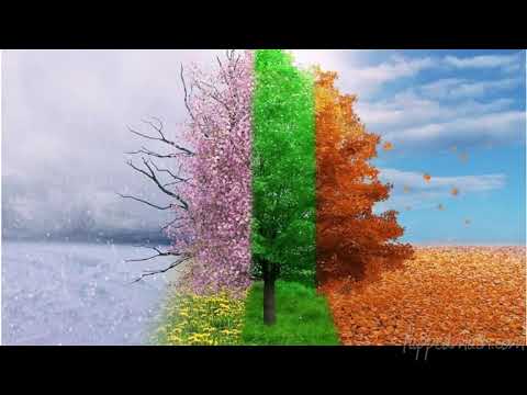 The Mental Calendar Part 1 of 3 - History of the Calendar