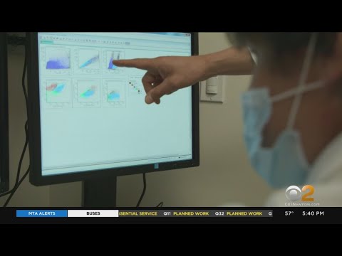 Researchers Find Blood Cells Could Be Used To Treat Patients With Lou Gehrig’s Disease