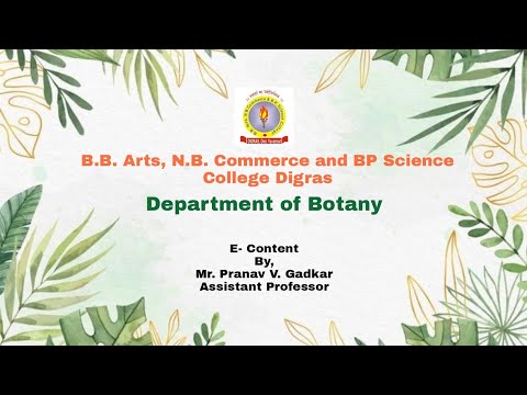 "Current Research Scenario in Plant Physiology" by Prof. Kunal Dhokne Assistant Professor Botany
