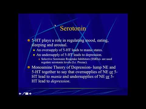 The Big Six: Acetylcholine, Serotonin, Norepinephrine, Dopamine, GABA and Glutamate