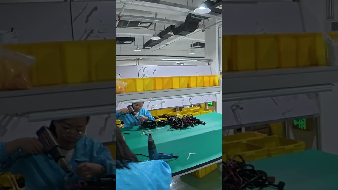 Custom Wire Harnesses and Cable Assembly