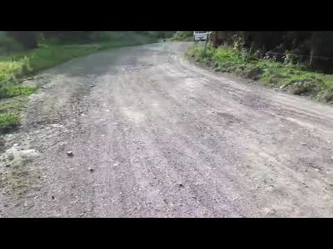 Género Interpretativo: Crónica – generos periodisticos