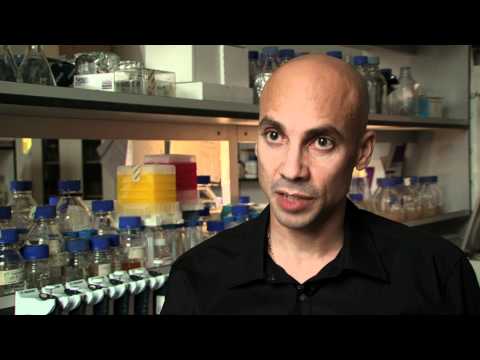 Programming Cells
