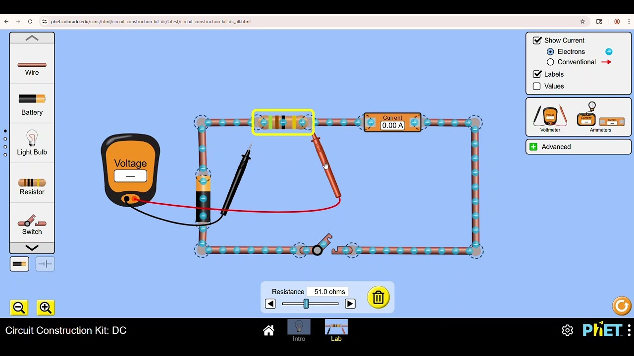 PHYSICS LAB - PheT simulation 