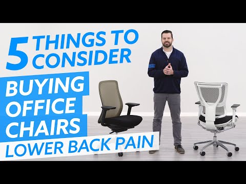 Office Chairs For Lower Back Pain: 5 Things You Must Consider