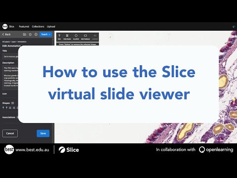 How to use the Slice virtual slide viewer