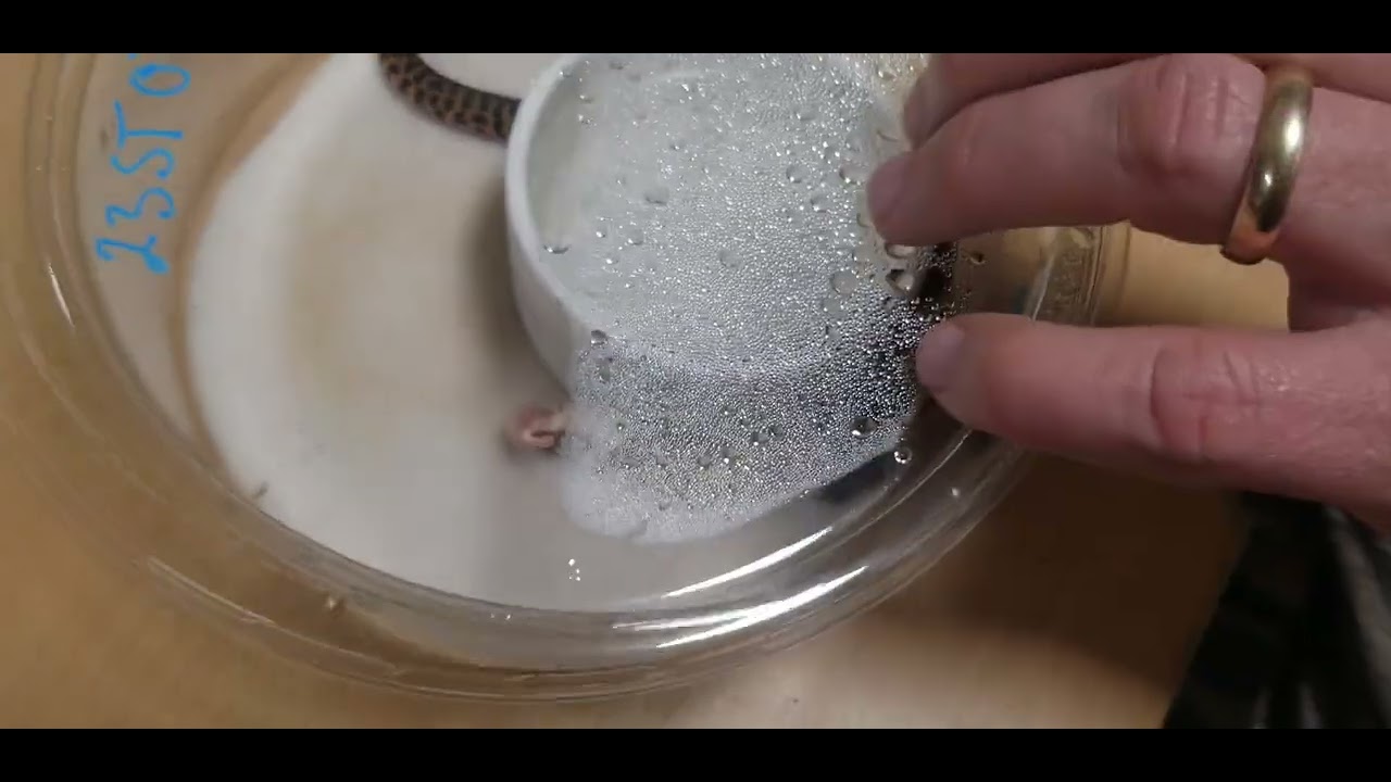 stimson python babies first food offerings