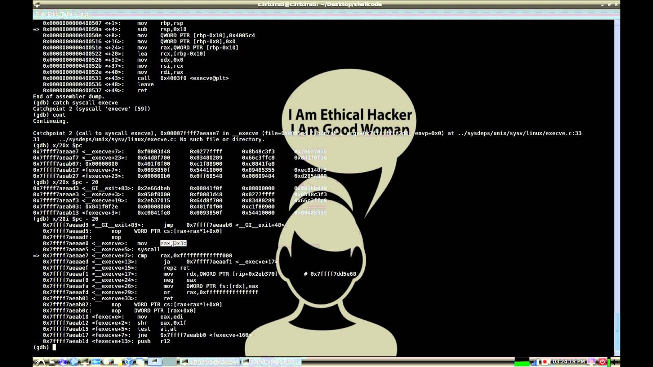 Smashing Stack + Shellcode for x86/x64 Linux