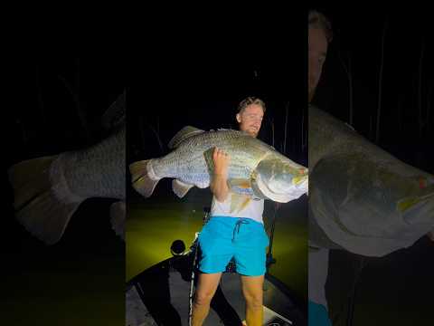 BIG FISH ENERGY 🔥 #barramundifishing #australia #fishing #barramundi #giant #monster #huge #fish