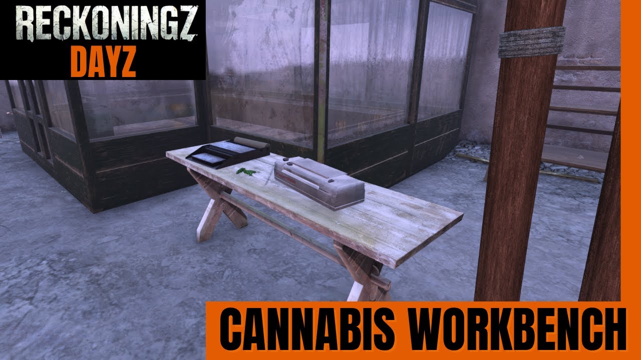 Grow CANNABIS in DayZ with EASY Workbench Guide!