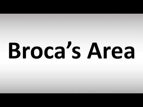 How to Pronounce Broca’s Area