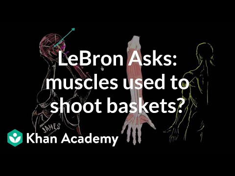 LeBron Asks: What muscles do we use when shooting a basket? (video ...