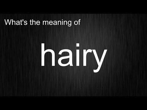What's the meaning of "hairy", How to pronounce hairy?