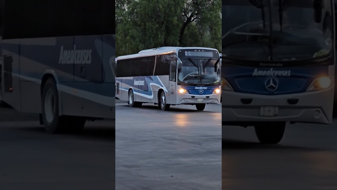 Amealcenses Marcopolo Torino #autobusesmexicanos #onibusmarcopolo #torino #mercedesbenz #bus #viral