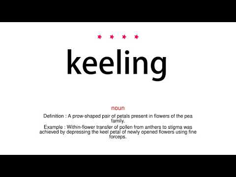 How to pronounce keeling - Vocab Today