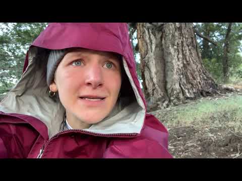 Fastpacking 45 MILES of the PCT in 36 HOURS
