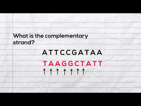 Practice writing the complementary strand of DNA and mRNA during transcription
