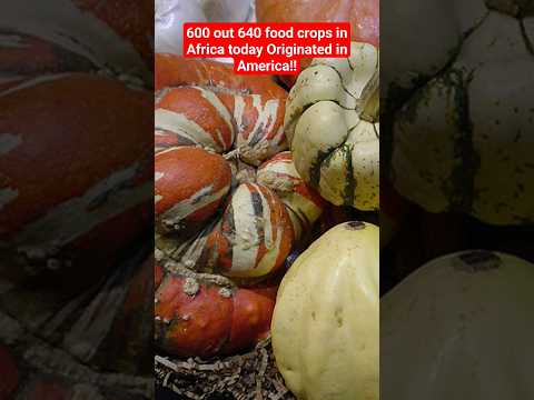 "Out Of 640 Food Crops Grown In Africa Today, 600 Originated In The America's" !"