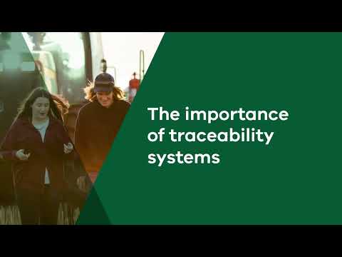 Importance of traceability systems