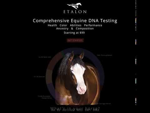 Etalon Diagnostics Newest Product- Ancestry & Composition